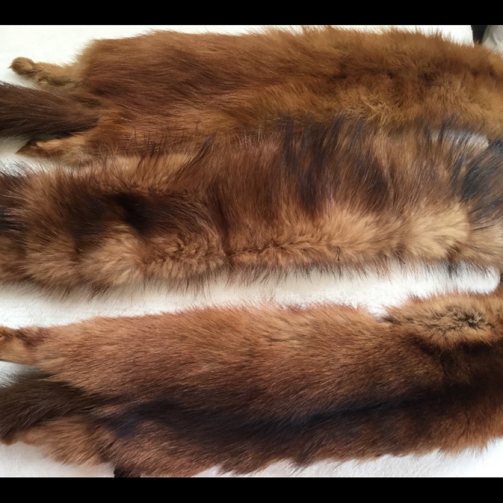Beautiful Mink Collar Full Body Mink Vintage - Gem